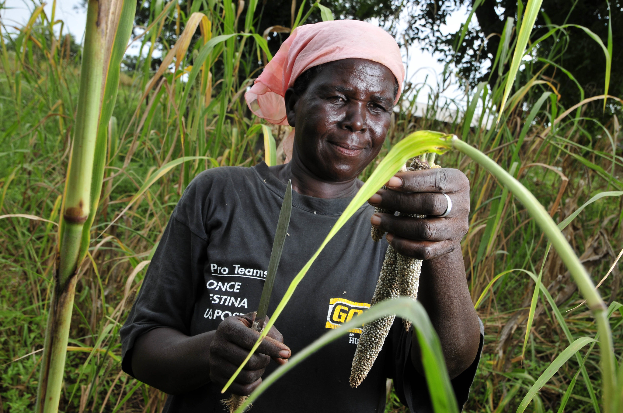 Webinar: "Gender dynamics and socio-cultural factors shaping farmers ...